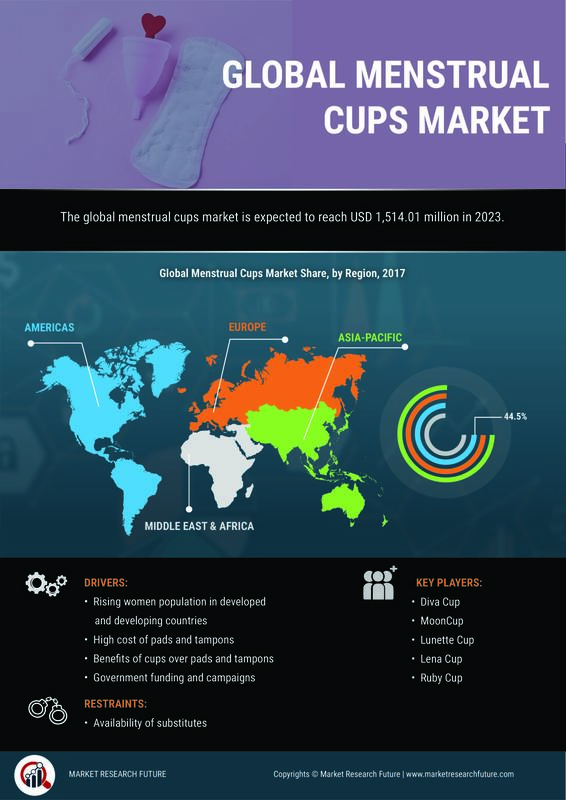 Menstrual Cup Industry 2019 Ultimate Analysis by Size, Value ...